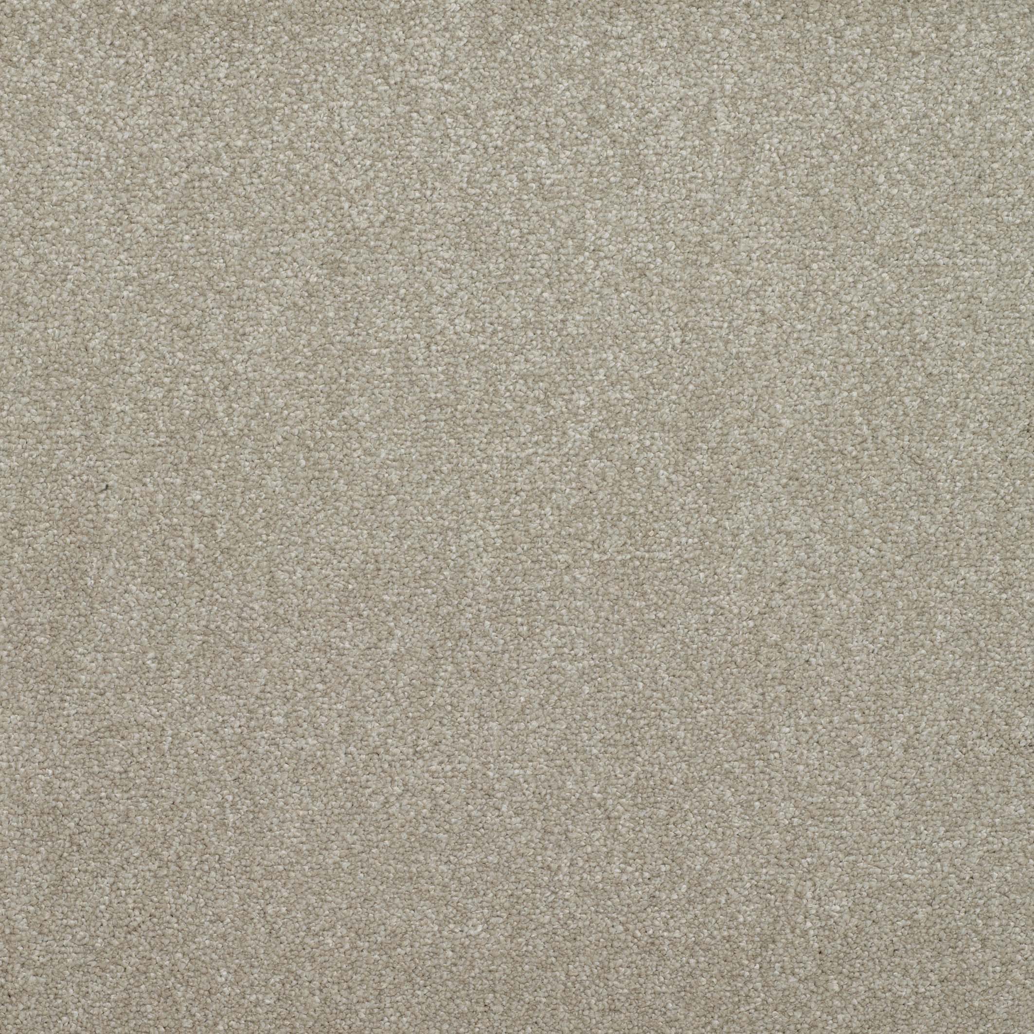 Balta Addiction White Pepper Carpet – Fenstoncarter
