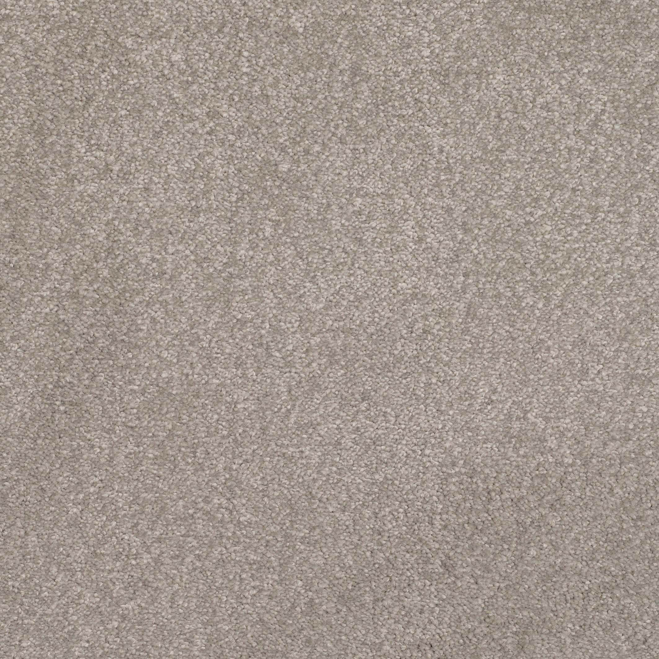 Balta Obsession Chalk white Carpet – Fenstoncarter