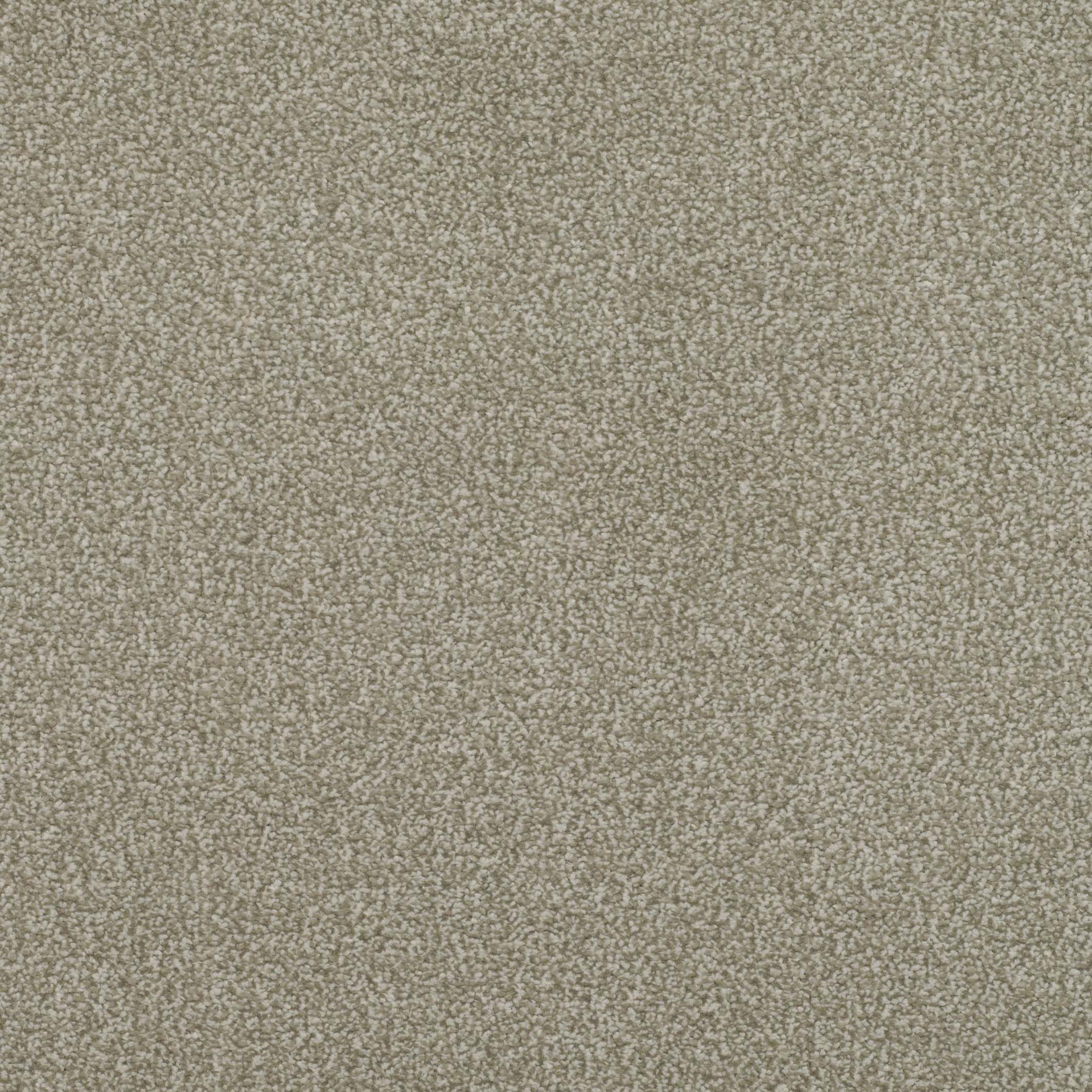 Balta Obsession Silver birch Carpet – Fenstoncarter