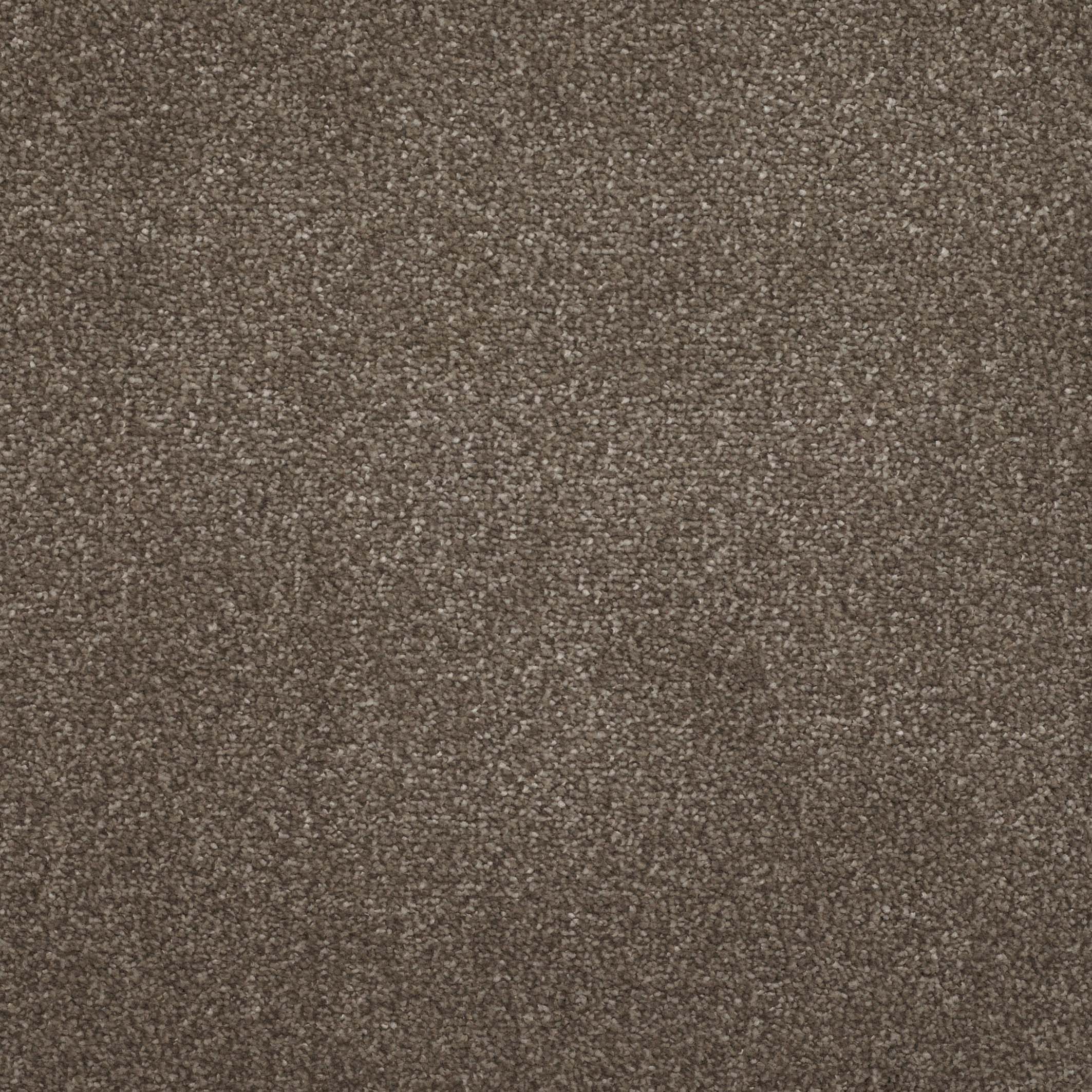 Balta Obsession Fungi Carpet – Fenstoncarter