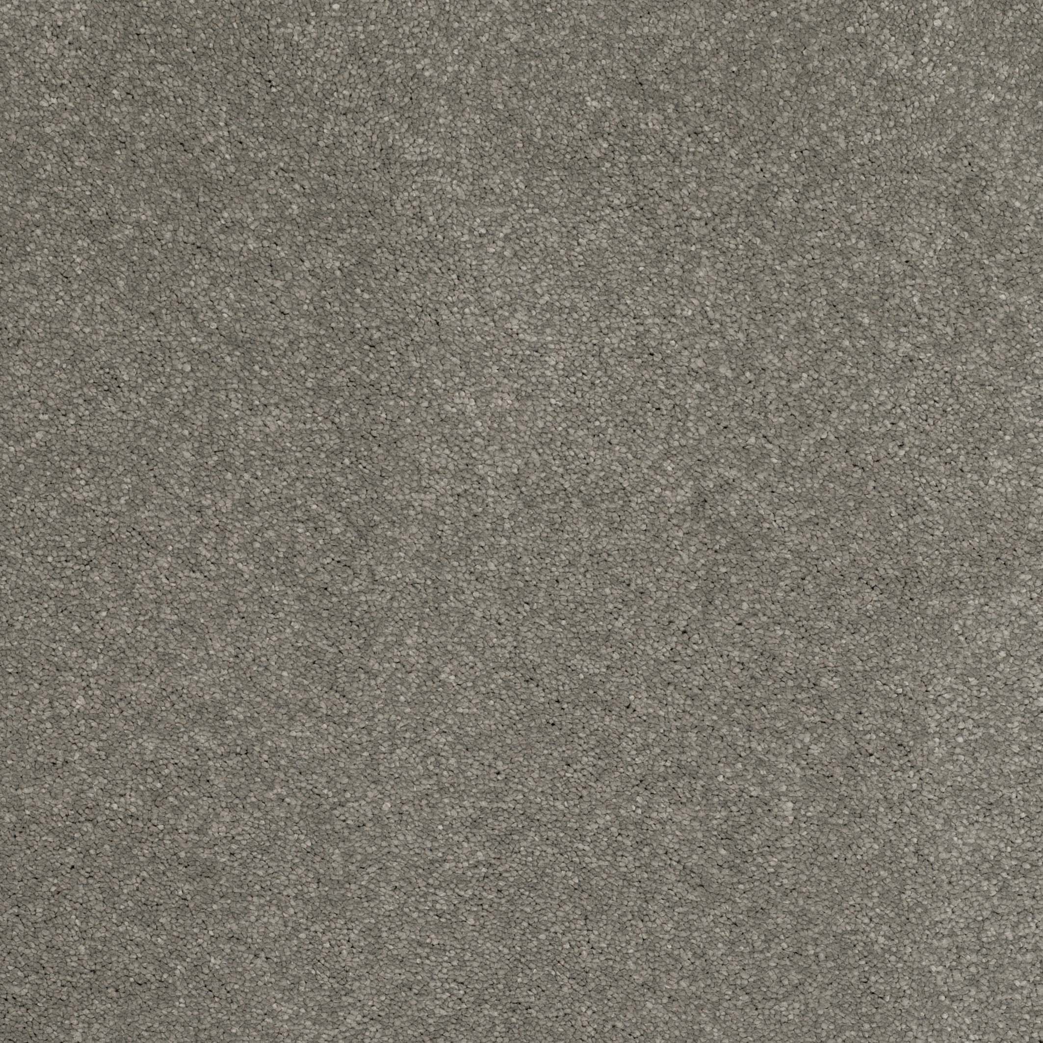 Balta Obsession Silver Carpet – Fenstoncarter