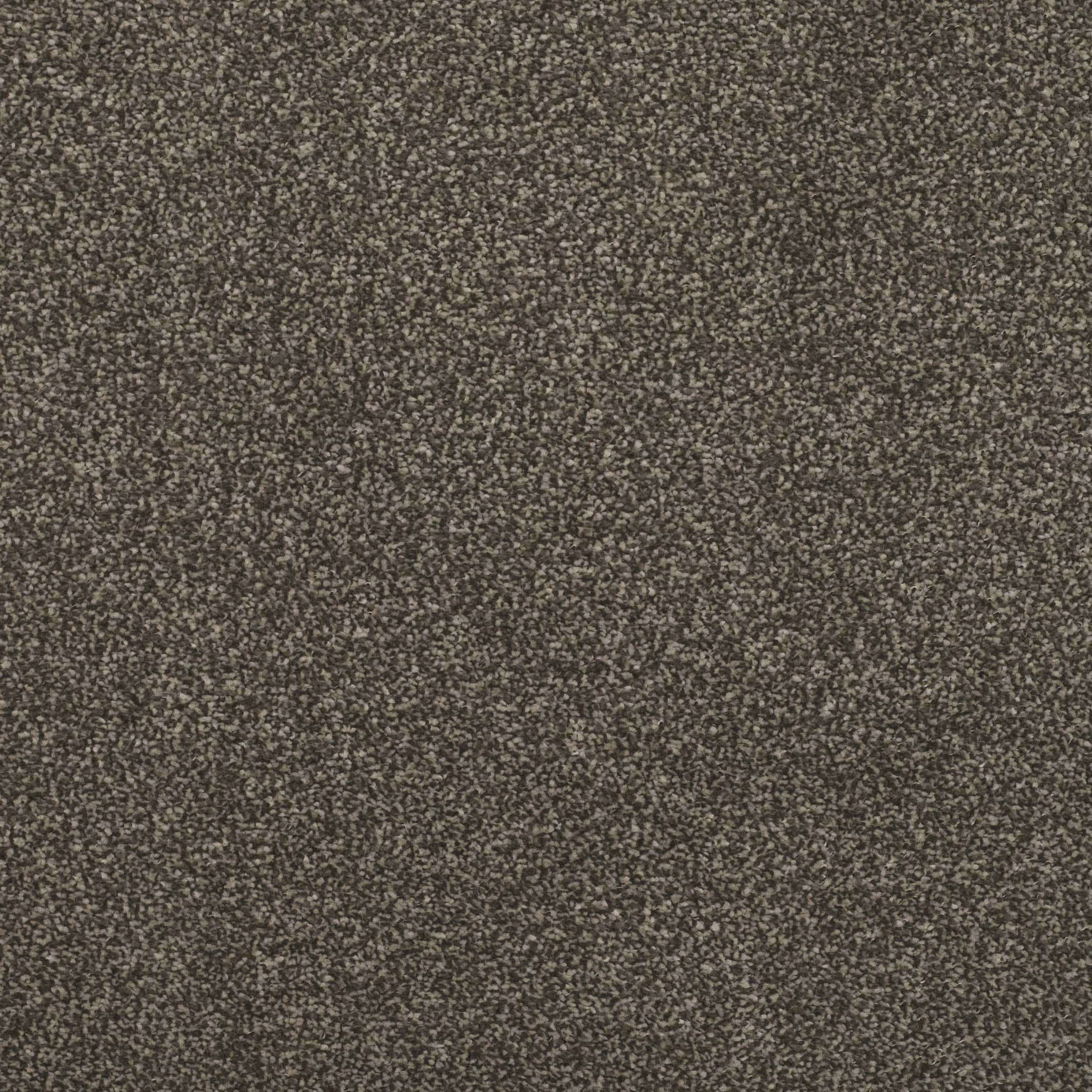 Balta Obsession Brushed nickel Carpet – Fenstoncarter