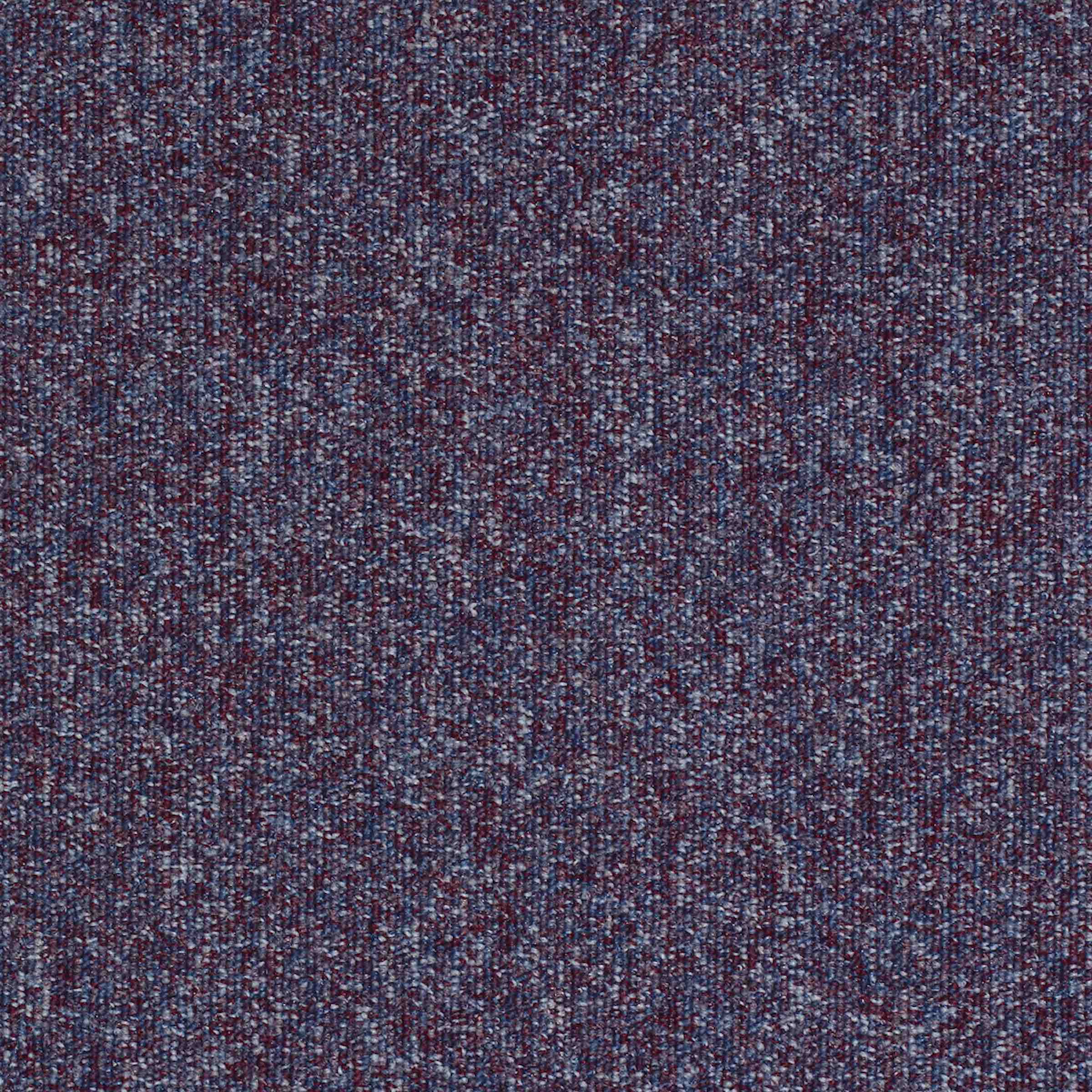 Paragon Workspace Loop Blueberry 6155 carpet tiles – Fenstoncarter