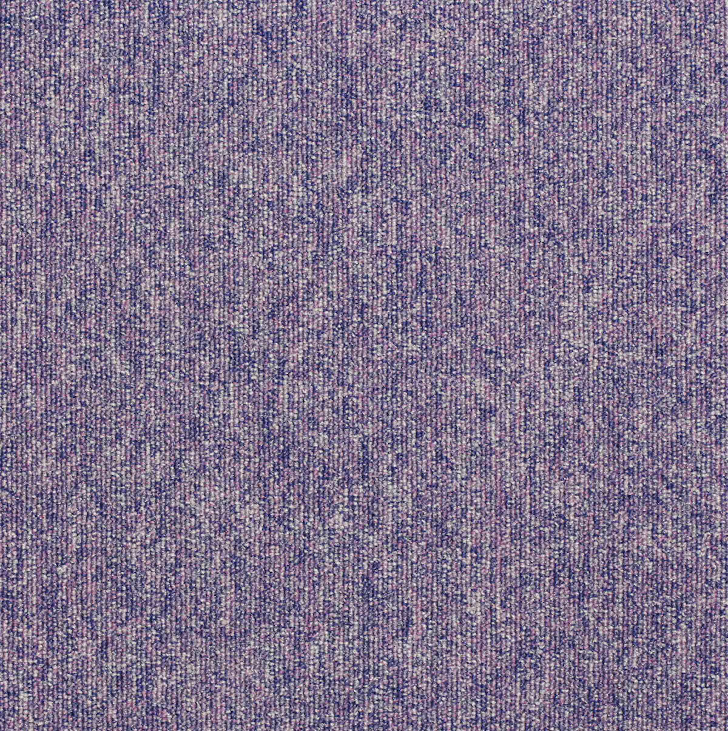 Paragon Workspace Loop Lavender 7035 carpet tiles – Fenstoncarter